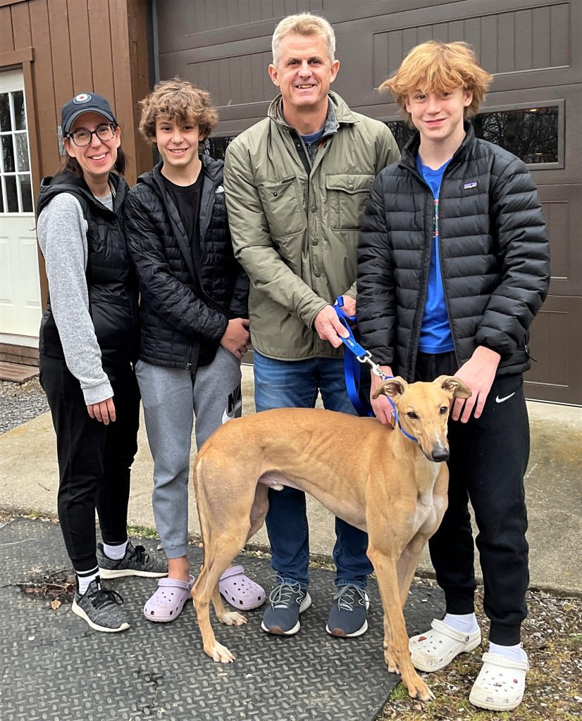 JohnWick – Paws on the Mountain Greyhound Adoption
